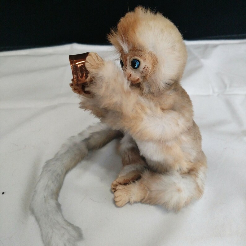 Baby Marmoset Monkey Poseable Art Doll - Etsy