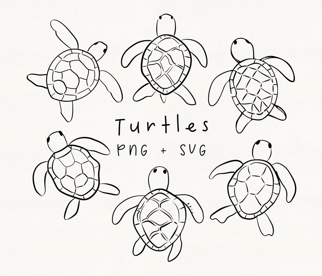 Whimsical Sea Turtle Clipart Set | 6 Quirky Line Art Doodles | Beach ...