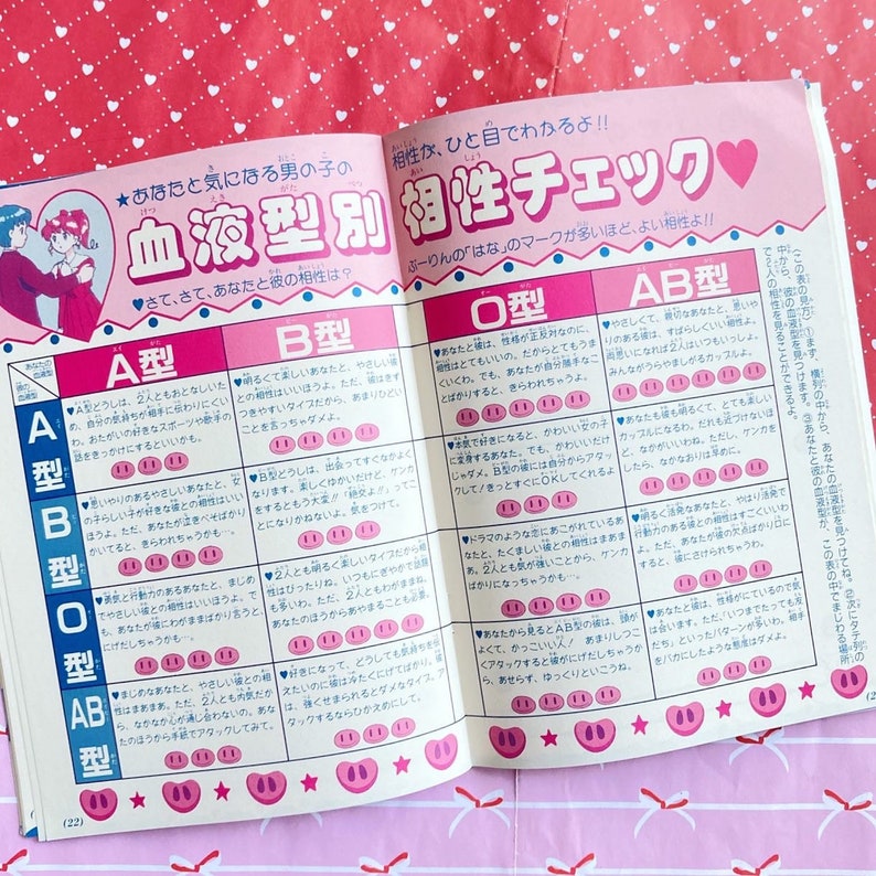 Kawaii Tonde Burin / Buurin Flying Pig 90s Anime Notebook Book - Etsy