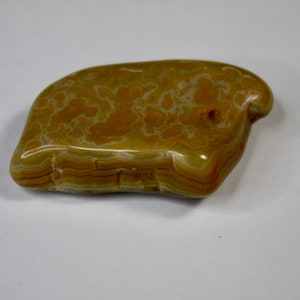 Crowley's Ridge Agate, Lace Agate, Mississippi Agate - Etsy