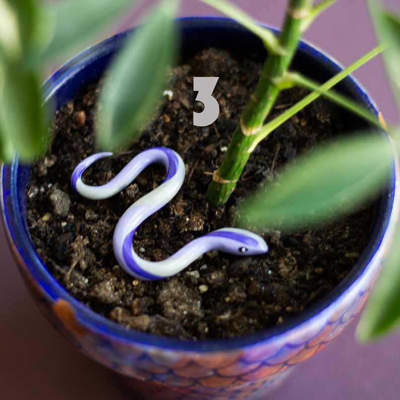 Purple & Silver Snake, Plant Buddy, House Plant Decoration, Cute ...