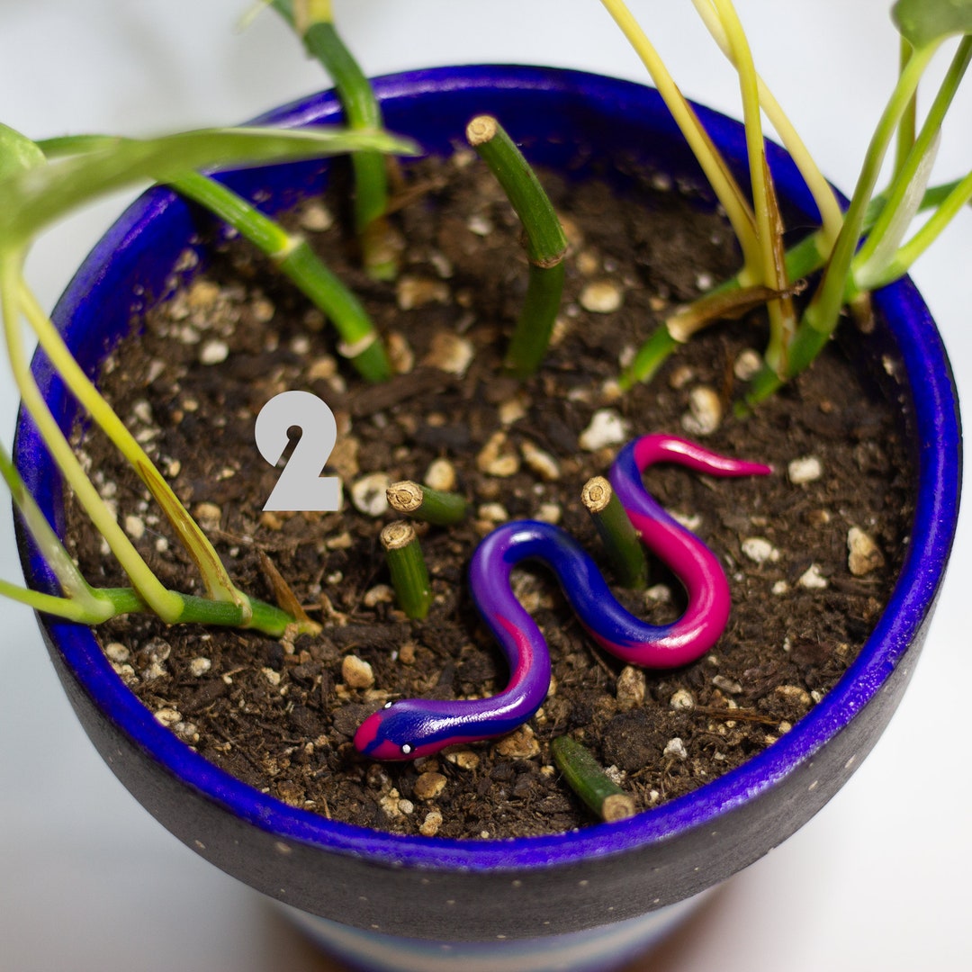 Bi Pride Snake Plant Buddy, House Plant Decoration, Cute Colorful Decor ...