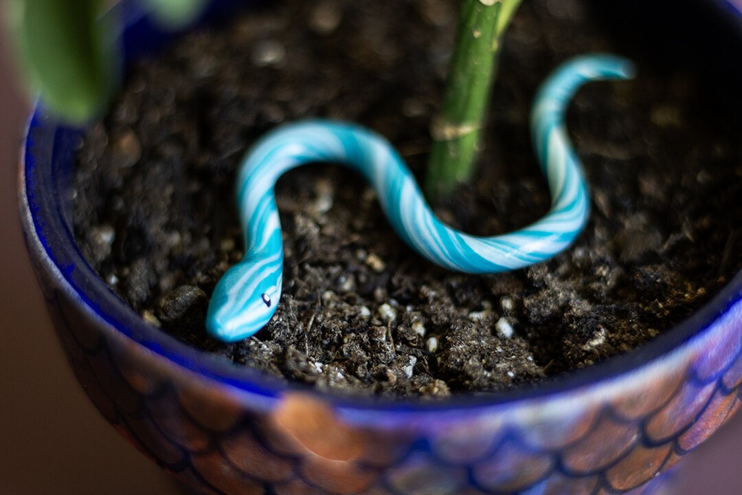 Teal & White Snake, Plant Trinket, House Plant Decoration, Cute ...