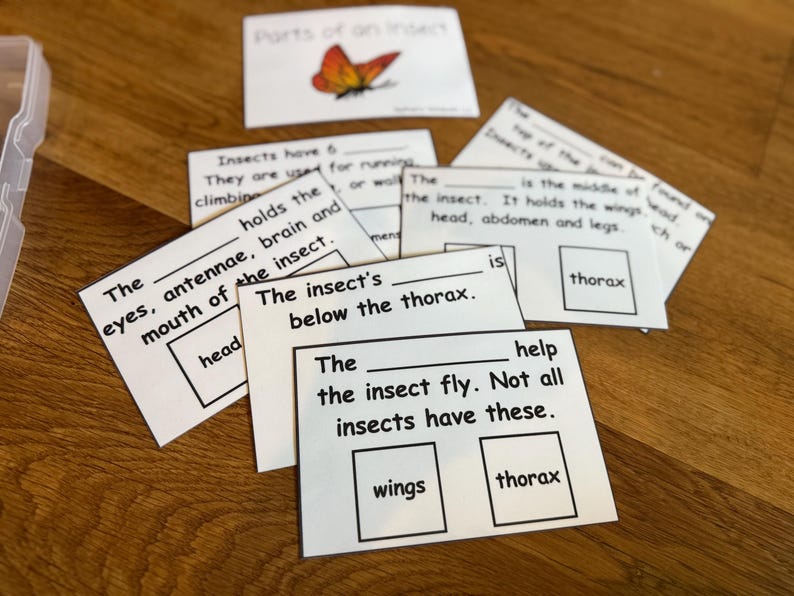 Parts of an Insect Task Box - Etsy