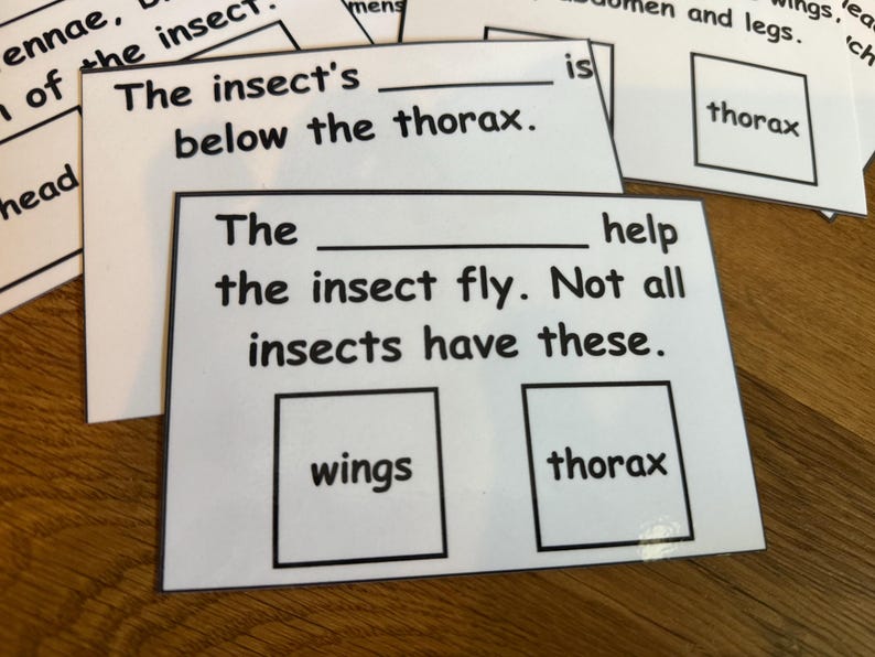 Parts of an Insect Task Box - Etsy