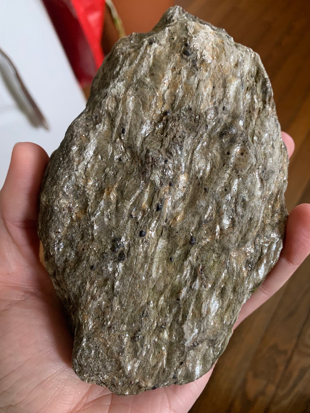 Folded Mica Schist With Garnets - Etsy