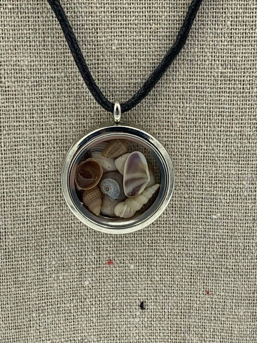 Real New Jersey Shells Locket Pendant Necklace - Etsy