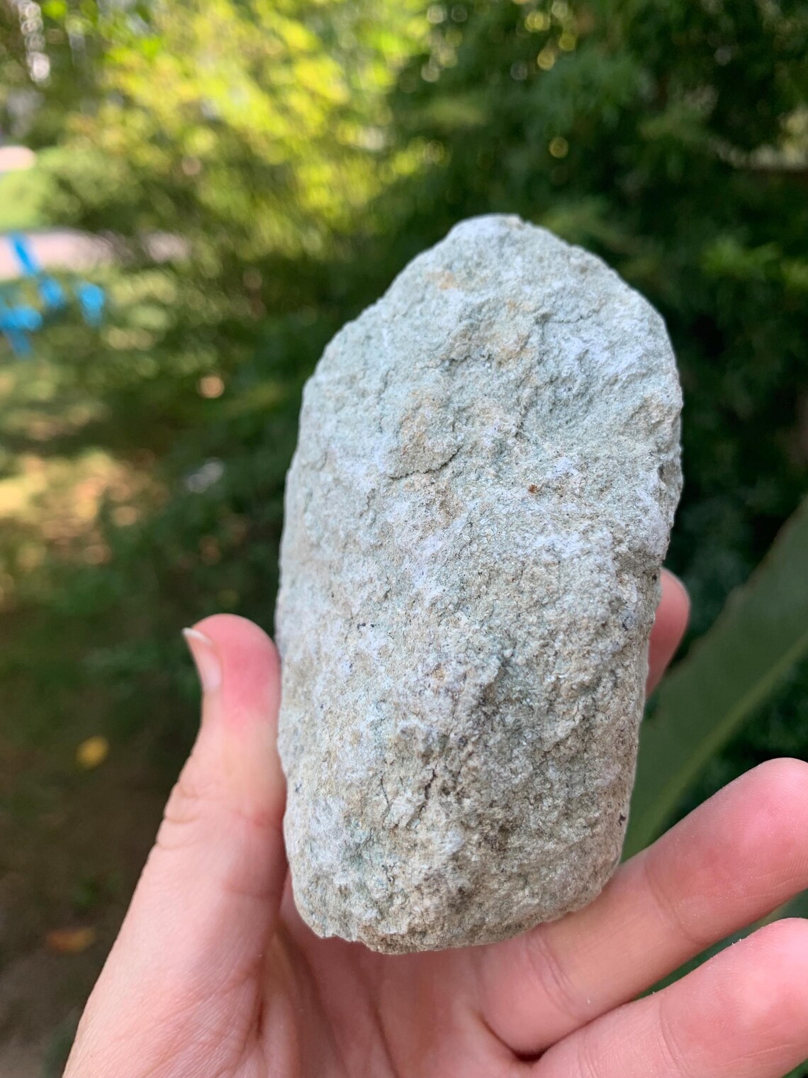 Green Mudstone Sedimentary Rock - Avalon NJ Find - Etsy