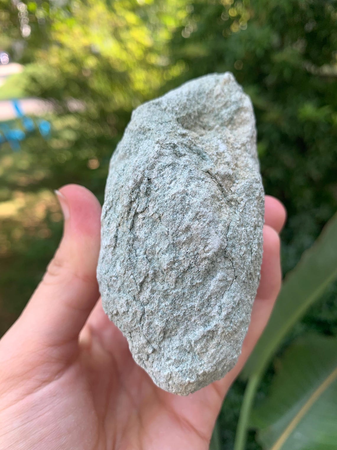 Green Mudstone Sedimentary Rock - Avalon NJ Find - Etsy