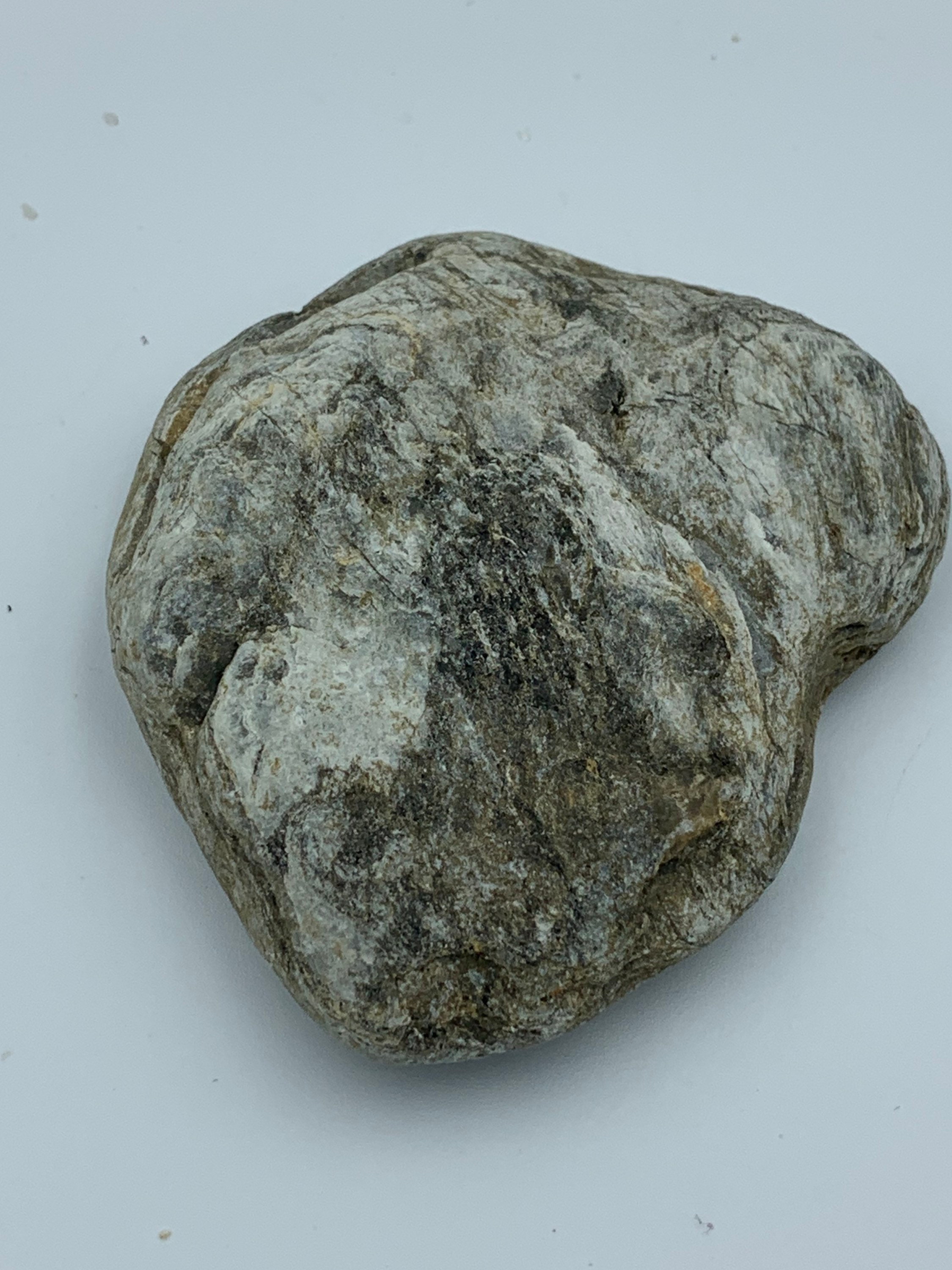 Palm Sized Phyllite - Etsy