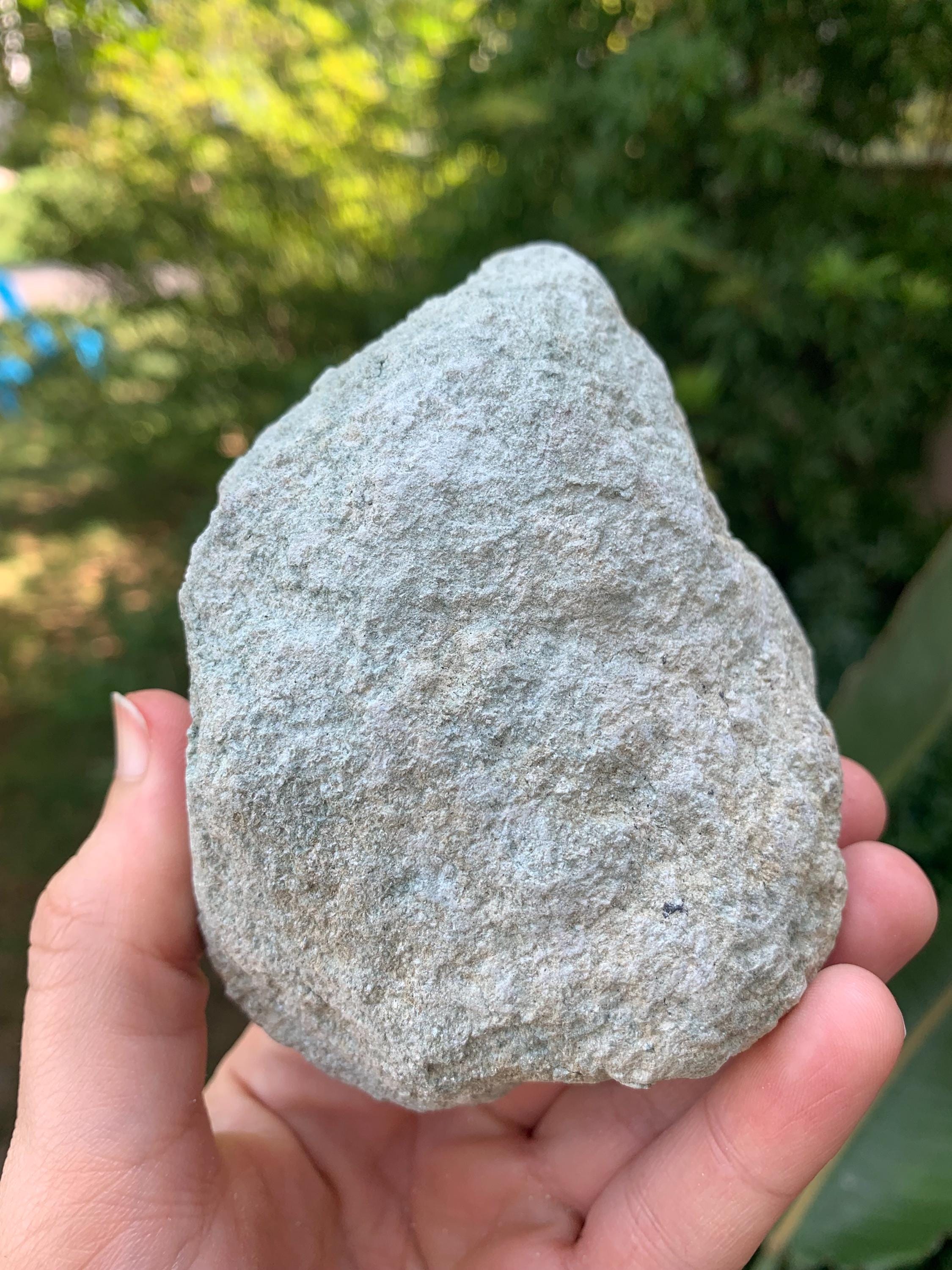 Green Mudstone Sedimentary Rock - Avalon NJ Find - Etsy