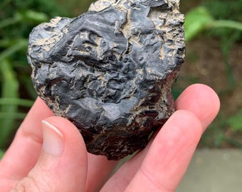 Real Pennsylvania Bituminous Coal Bits in a 1ml Bottle Pendant Necklace ...