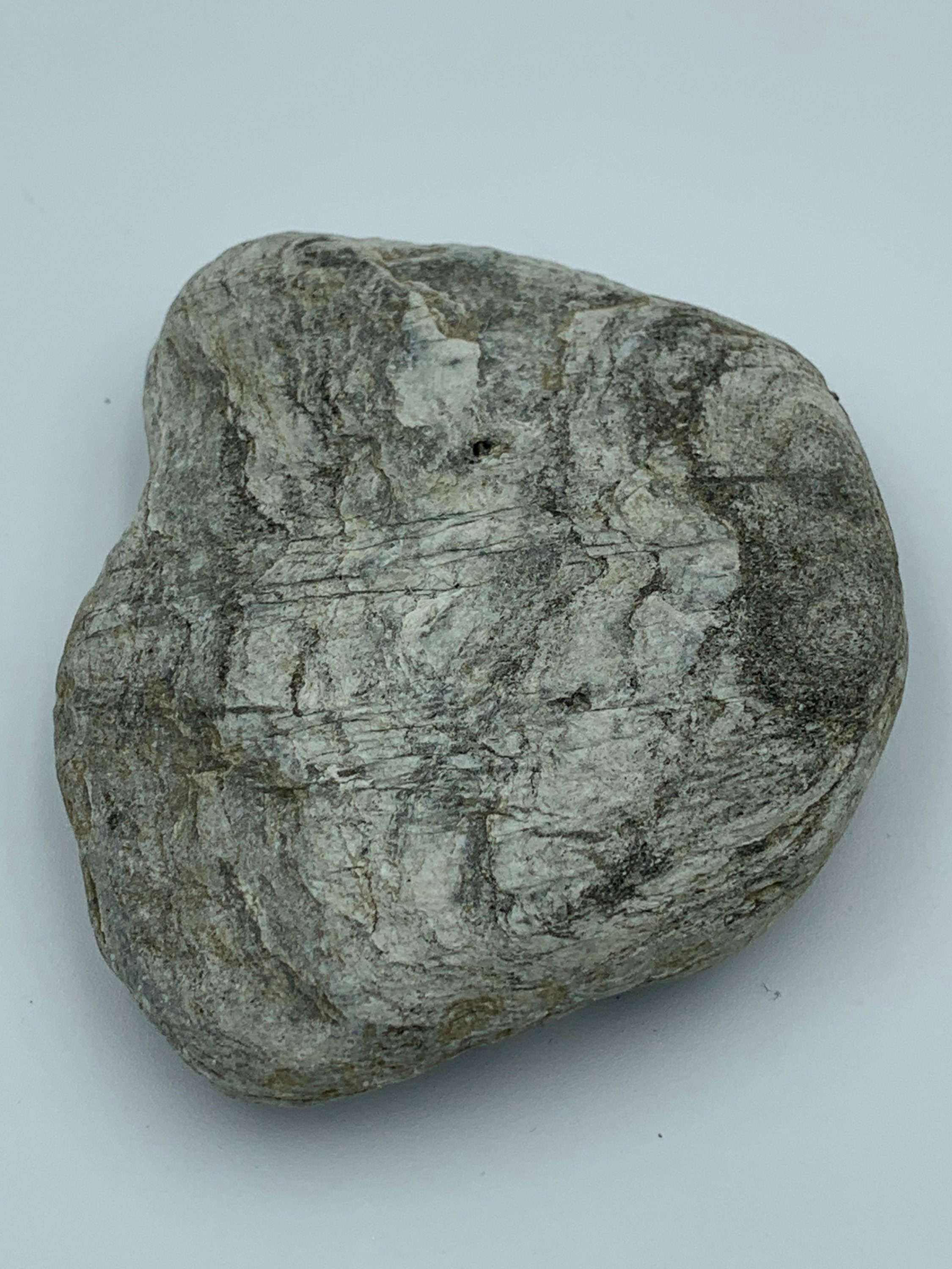 Palm Sized Phyllite - Etsy