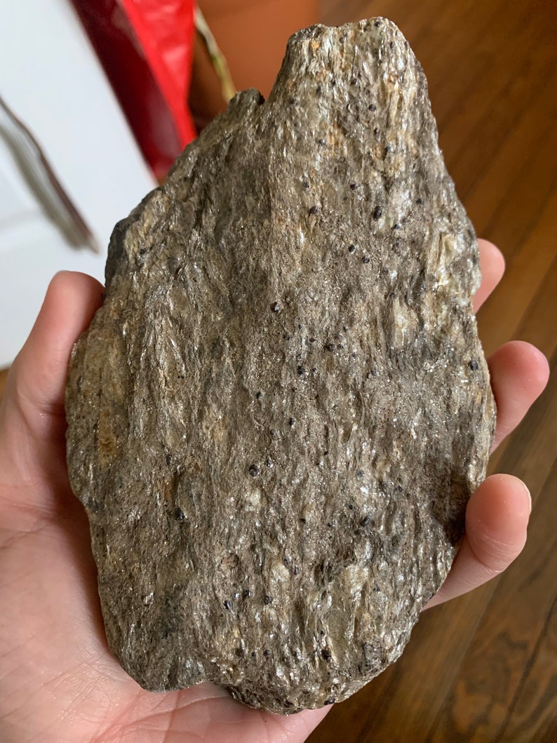 Wissahickon Folded Mica Schist With Garnets - Etsy