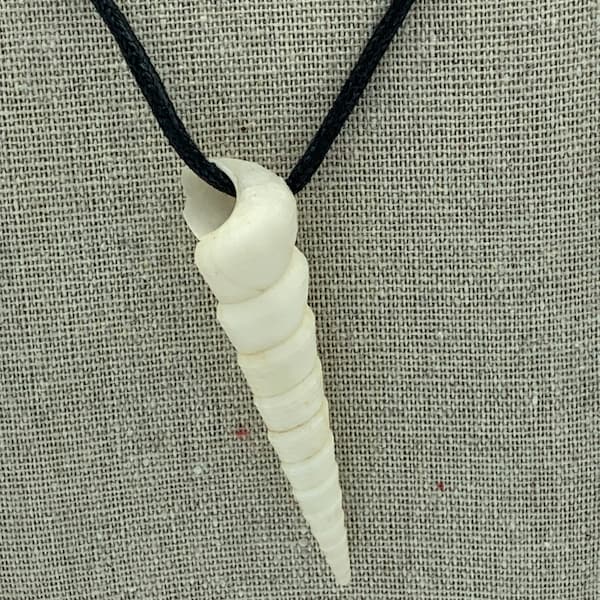Sea Shell Pendant - Etsy