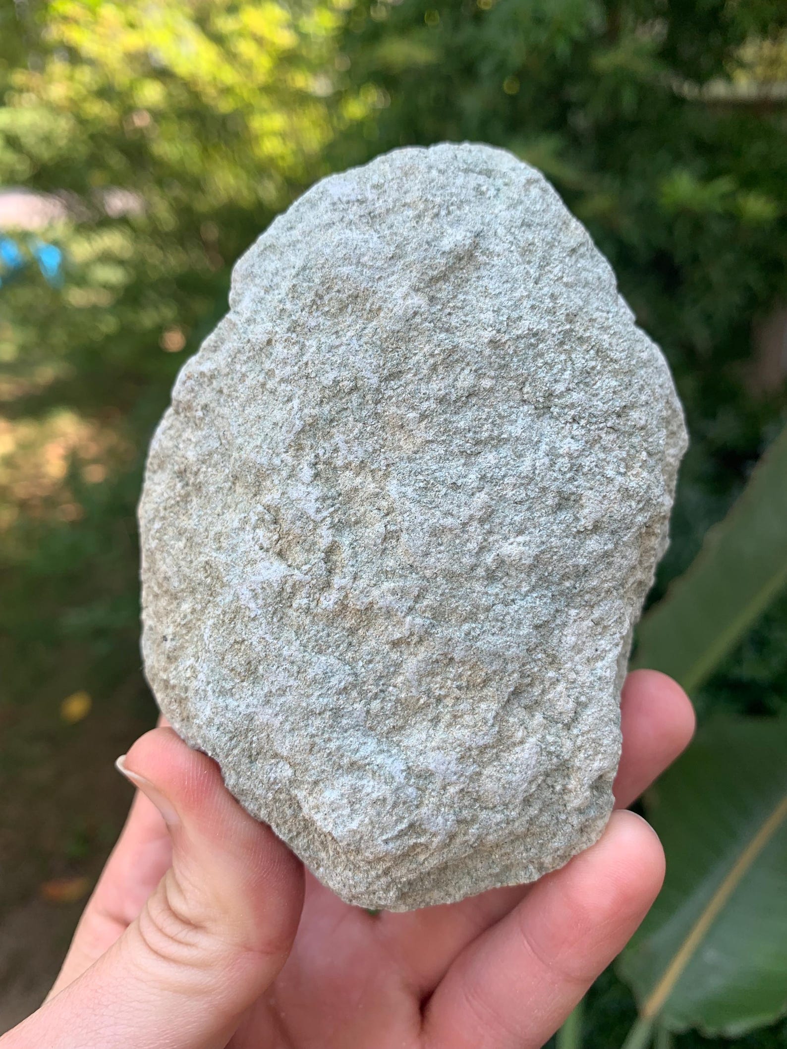 Green Mudstone Sedimentary Rock - Avalon NJ Find - Etsy