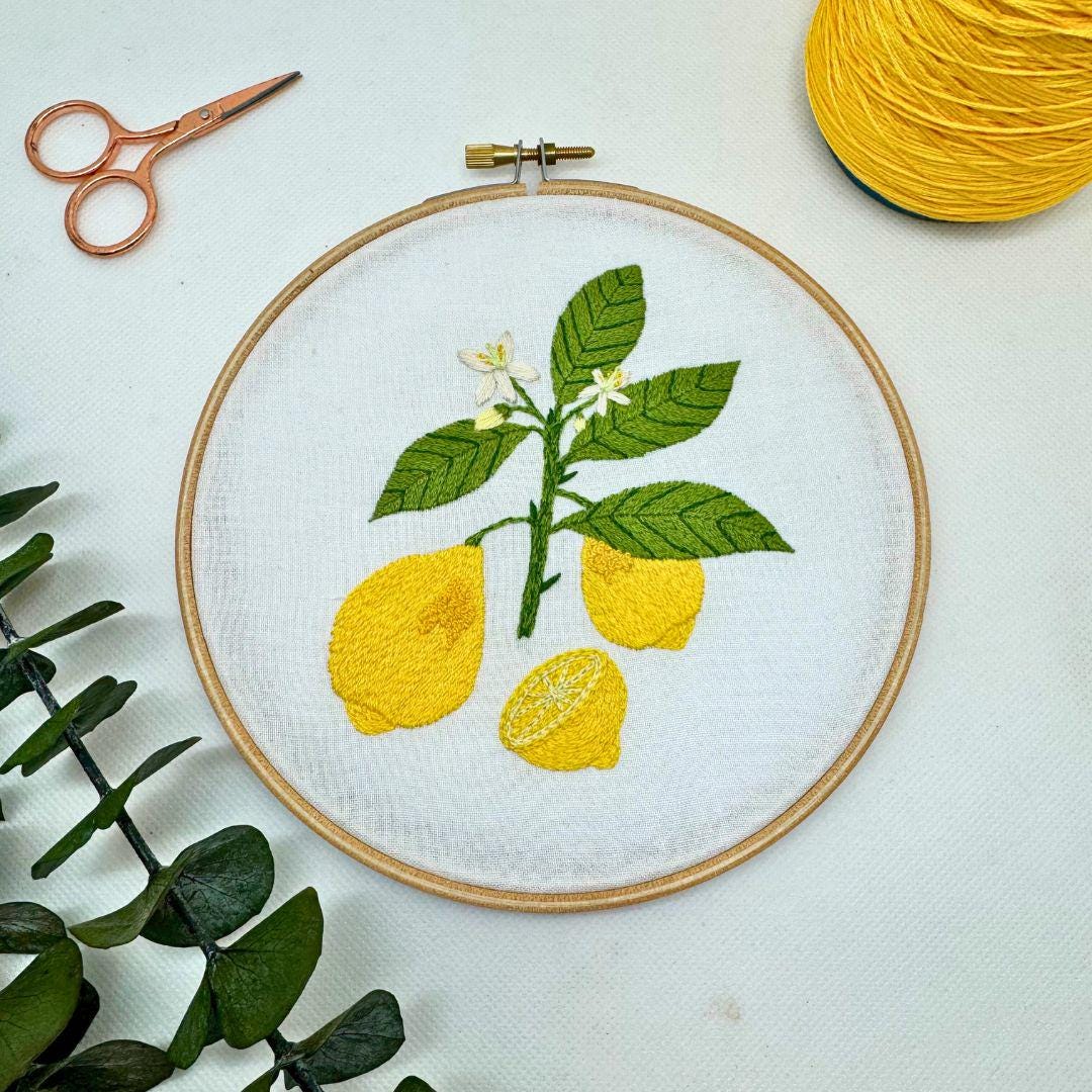 Lemon Embroidery Kit: Beginner Hand Embroidery Pattern, Fruity Craft - Etsy