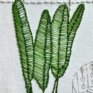 Kew Gardens PDF Embroidery Pattern With Videos, PDF Downloadable ...