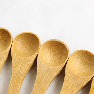 6 Mini BAMBOO Wooden Spoons 3 Inch Half Teaspoon Small Bamboo Spoon Tea ...