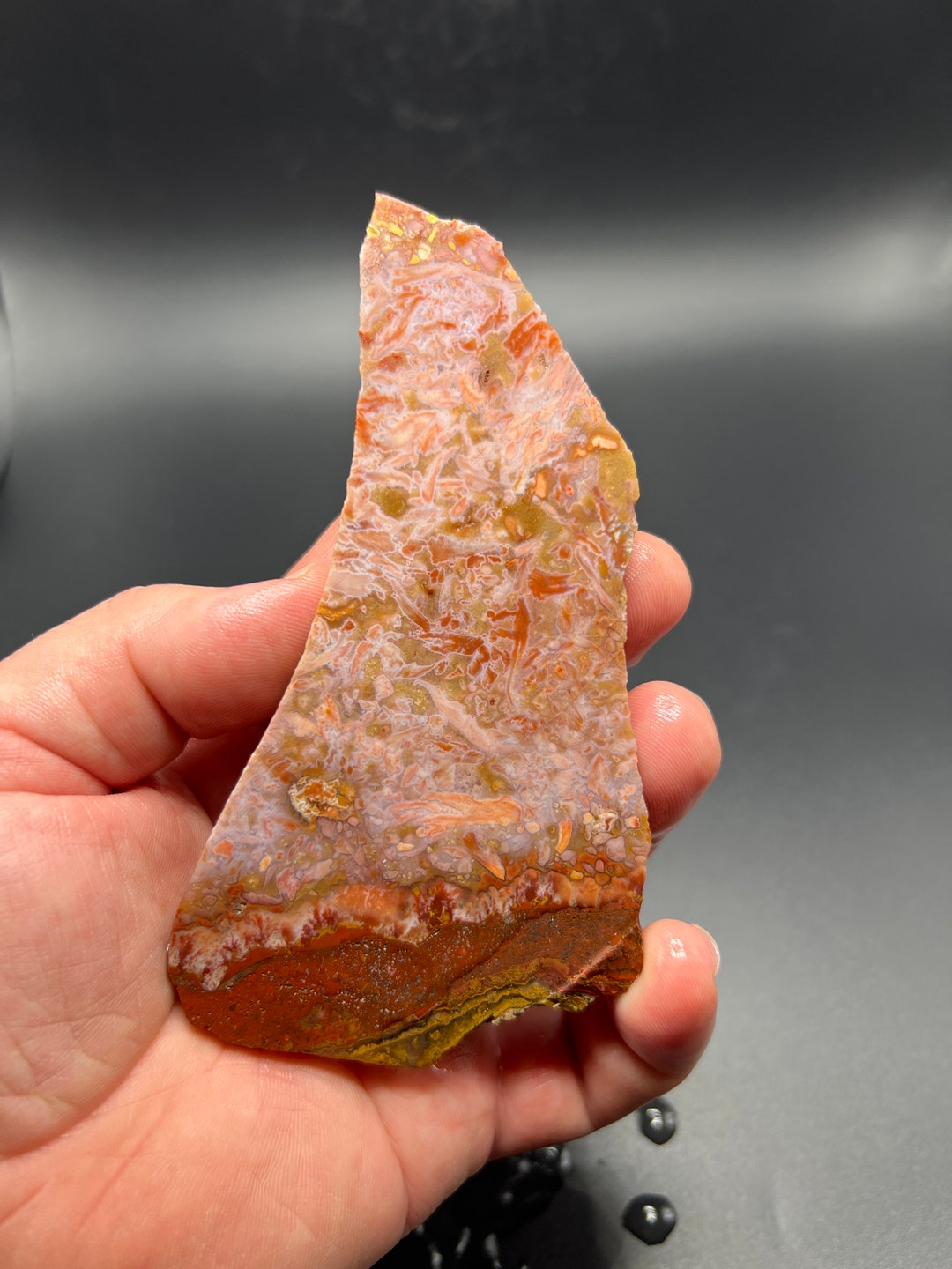 Confetti Agate Lapidary Slab 22 - Etsy