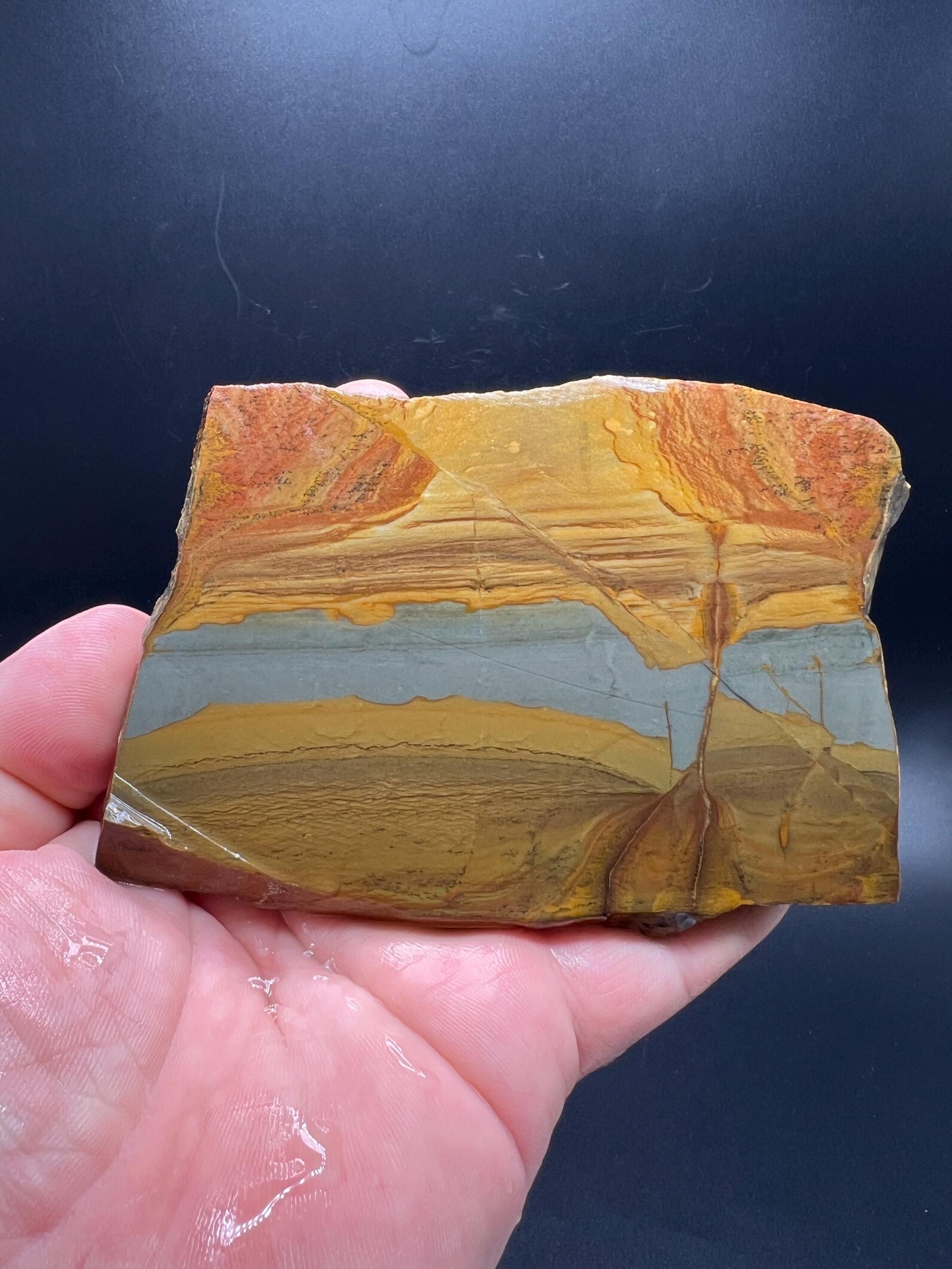 Spring Mountain Picture Jasper Lapidary Slab 21 - Etsy