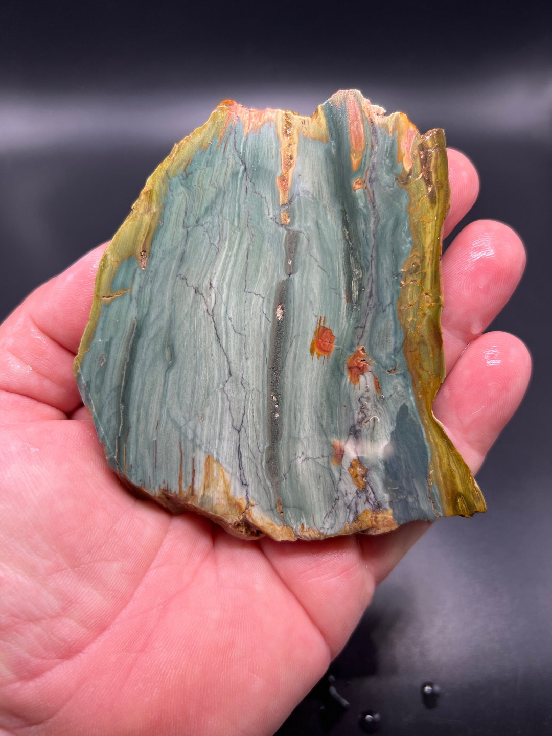 Gary Green-larsonite Jasper Slab 03 - Etsy
