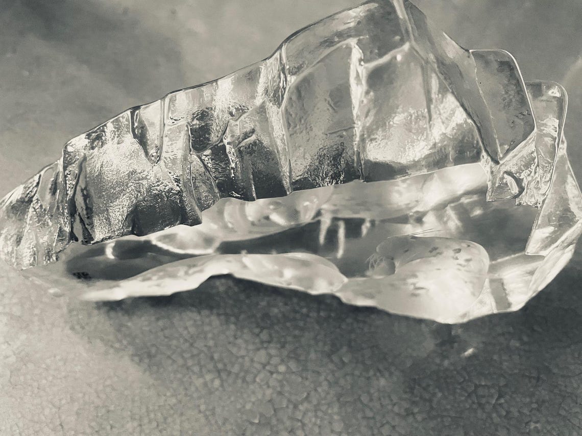 Rare Mats Jonasson Fine Crystal Seals Paperweight, Swedish, Model ...