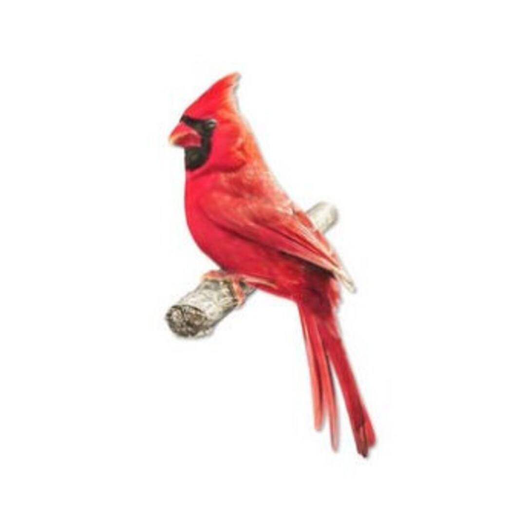 10.5in Metal Embossed Cardinal on Branch - Etsy