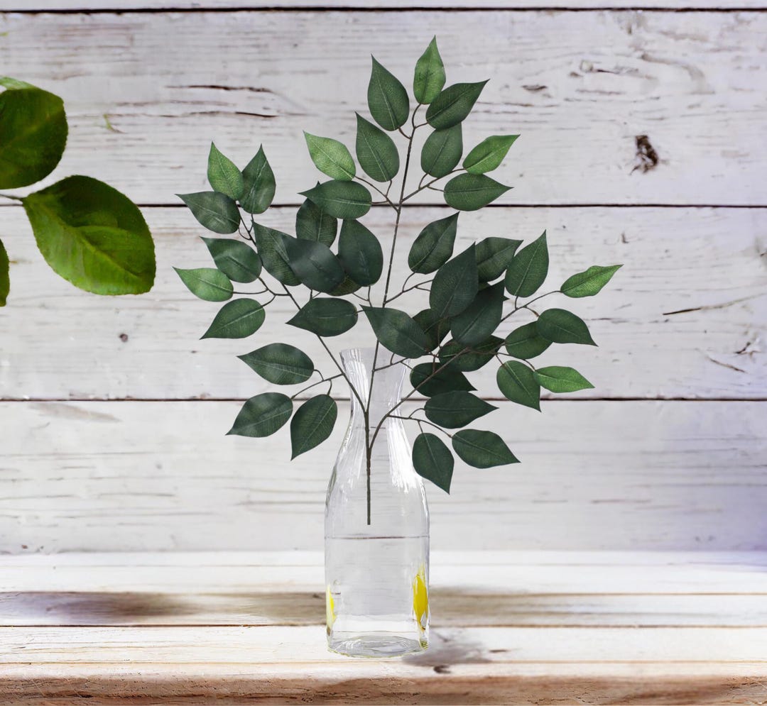 23in Silk Ficus Spray: Green (set of 12) - Etsy