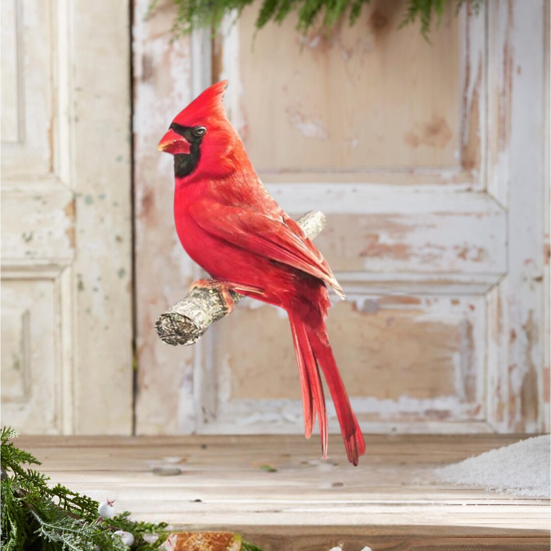 10.5in Metal Embossed Cardinal on Branch - Etsy