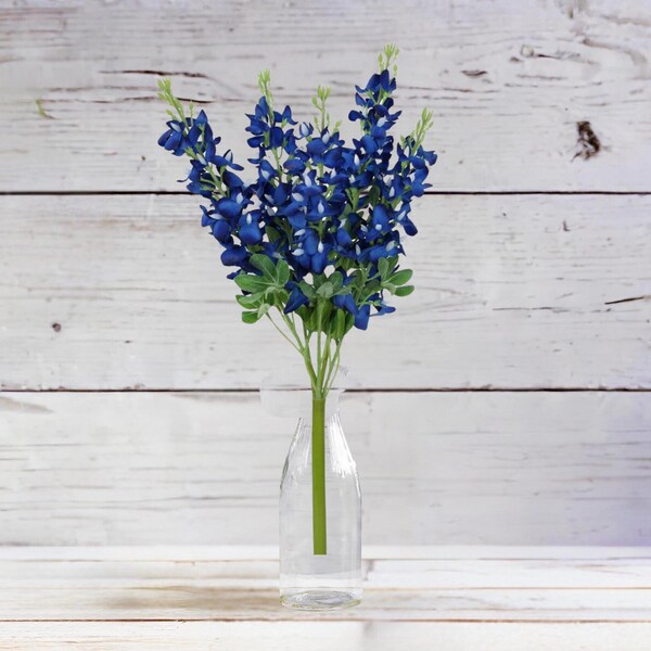 Texas Blue Bonnets - Etsy