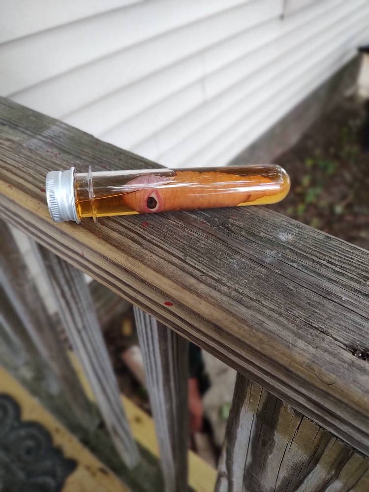 Test Tube Creatures worm - Etsy