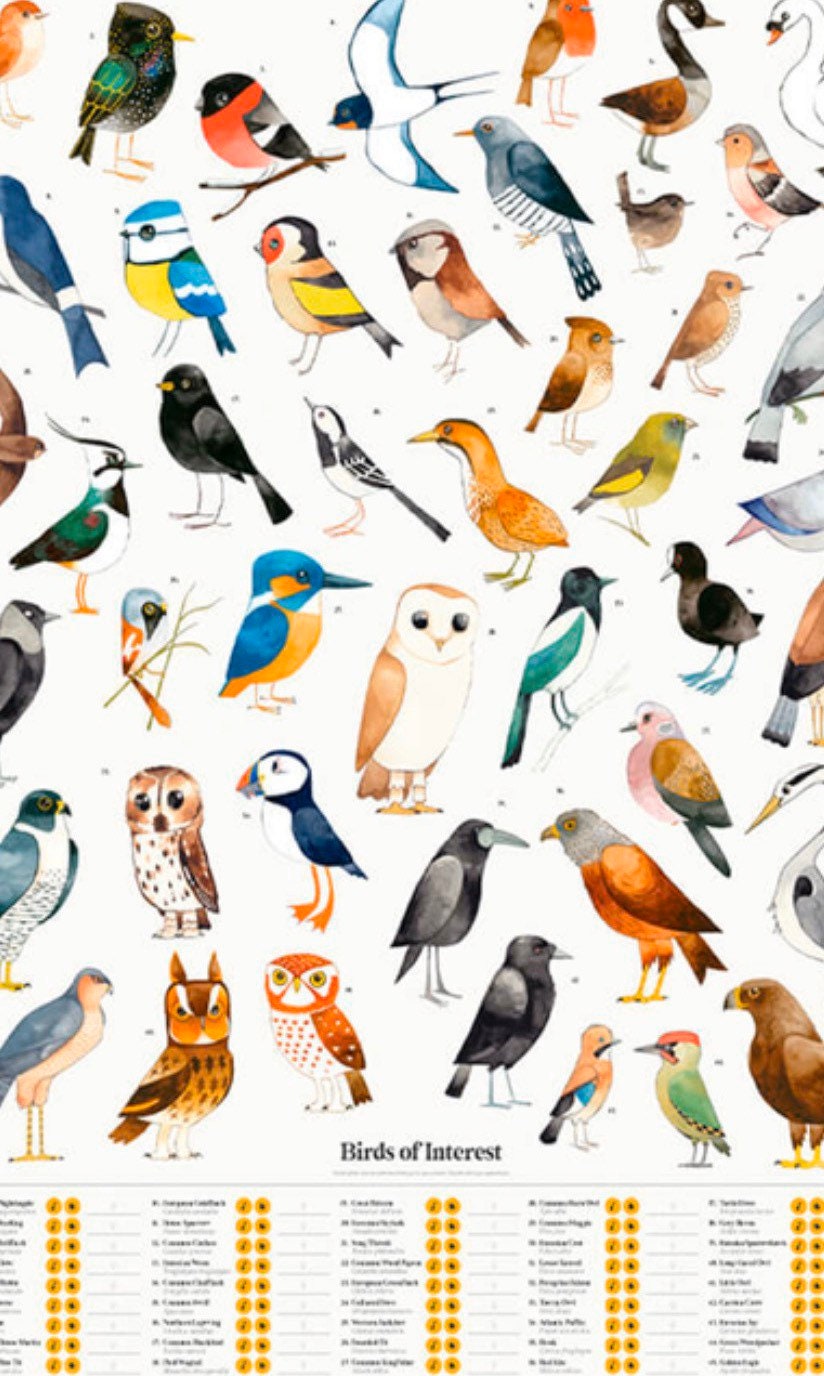 Birdwatchers Chart - Etsy