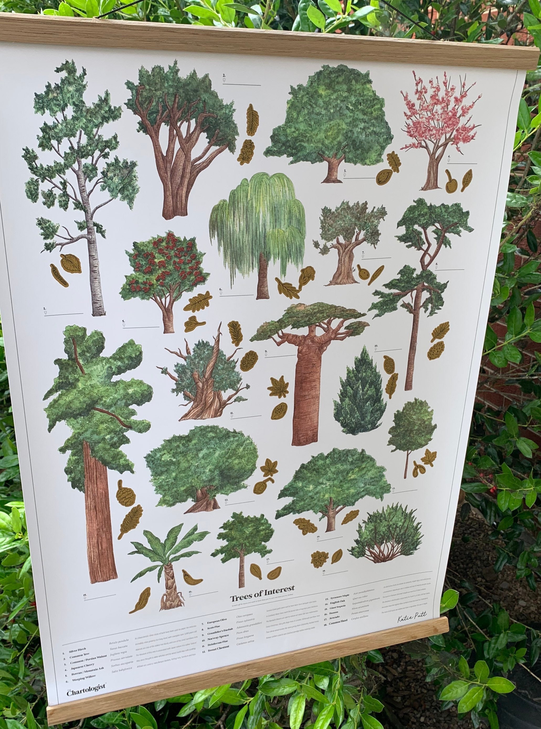 Tree Chart - Etsy