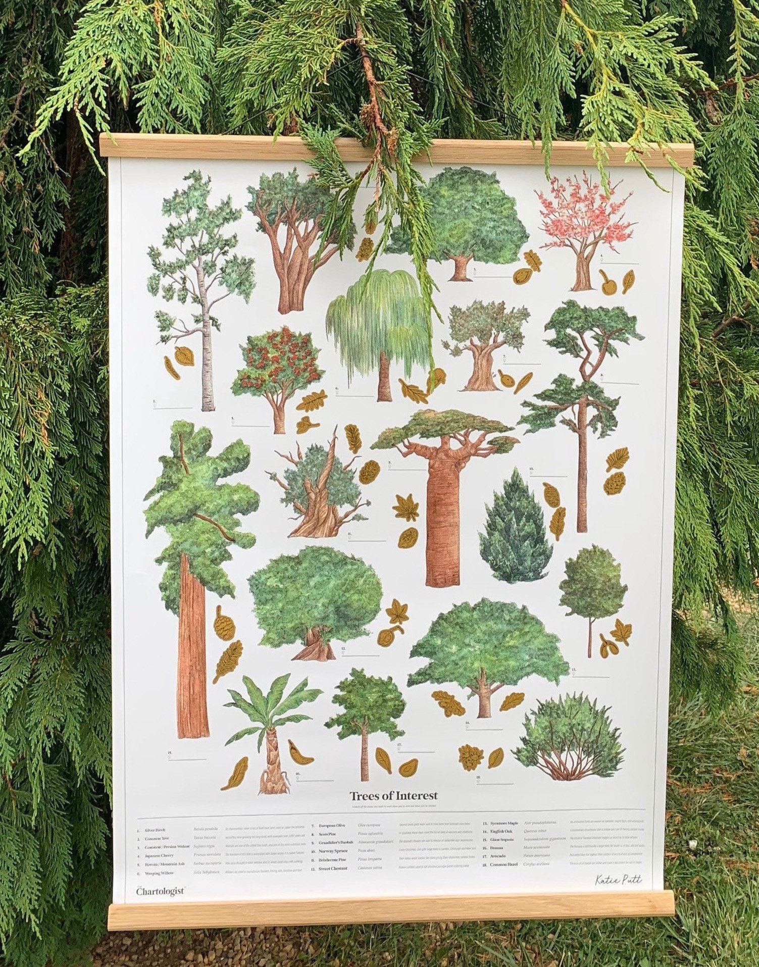 Tree Chart - Etsy