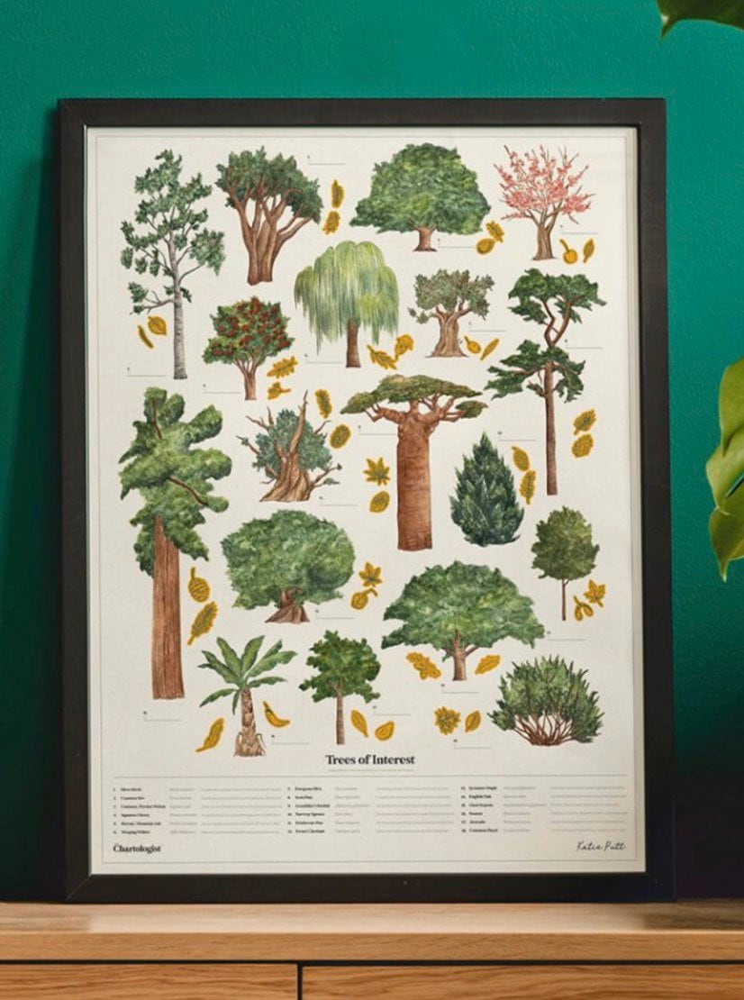 Tree Chart - Etsy