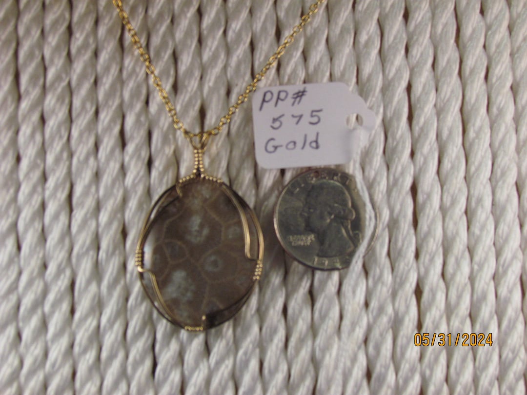 PP#575 Gold Plated Petoskey Stone Wire Wrapped With 14k Gold Plated ...