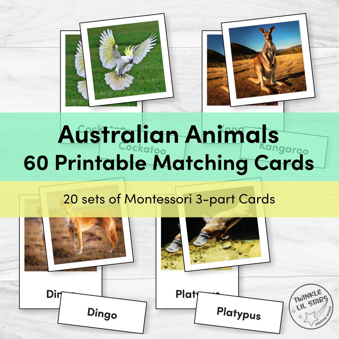 60 Australian Animal Matching Flash Cards - Montessori 3 Parts Cards ...