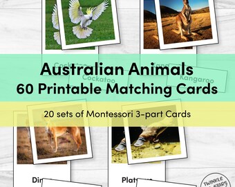 Australian Animal Matching Cards – Montessori 3-part Cards (printable ...