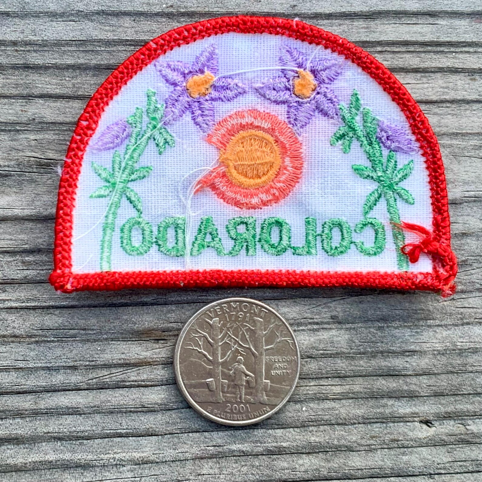 1980's COLORADO Ski Patch, BLUE COLUMBINE, Vintage Travel Skiing Badge ...