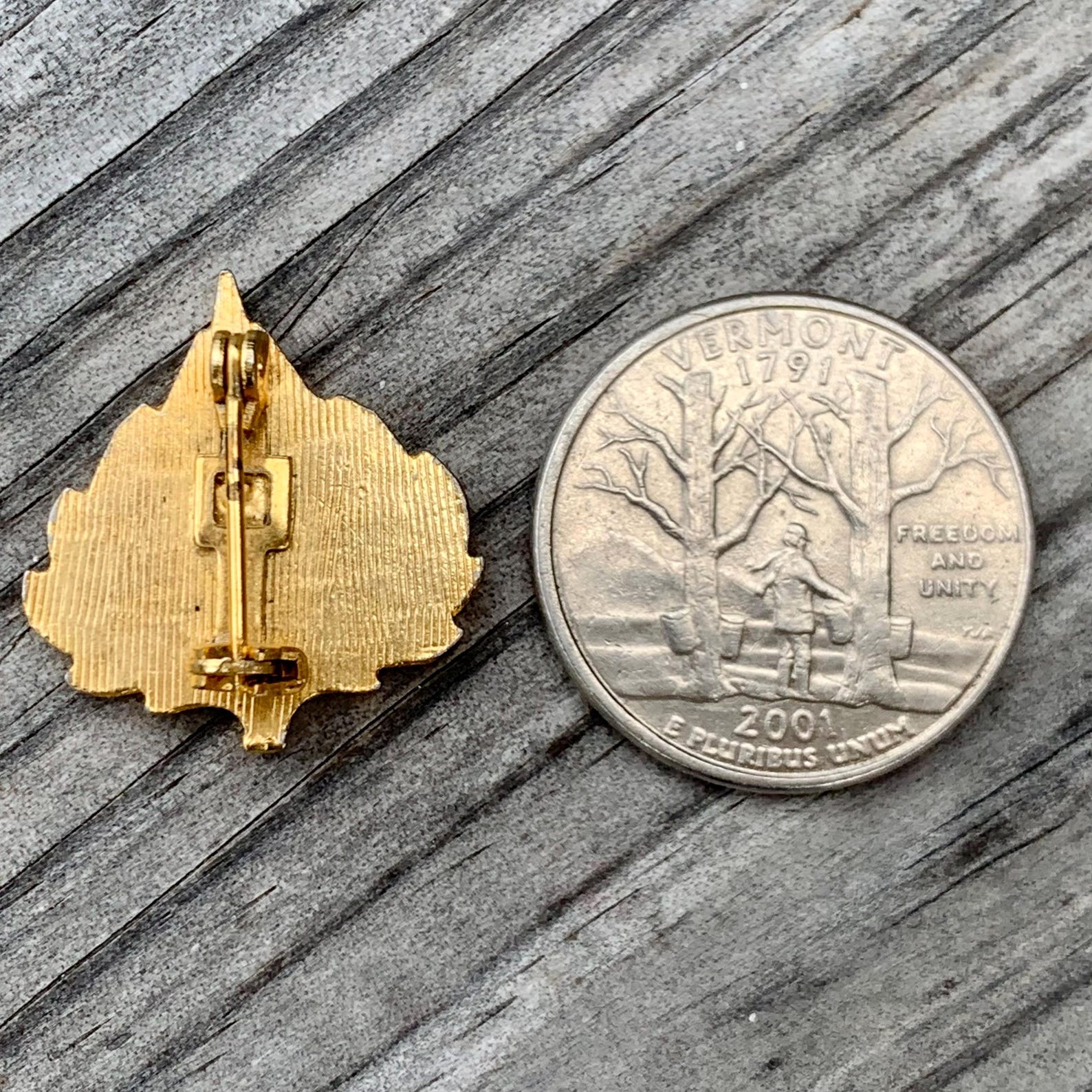 1970's ASPEN HIGHLANDS "leaf" Ski Pin, COLORADO Buttermilk Snowmass ...