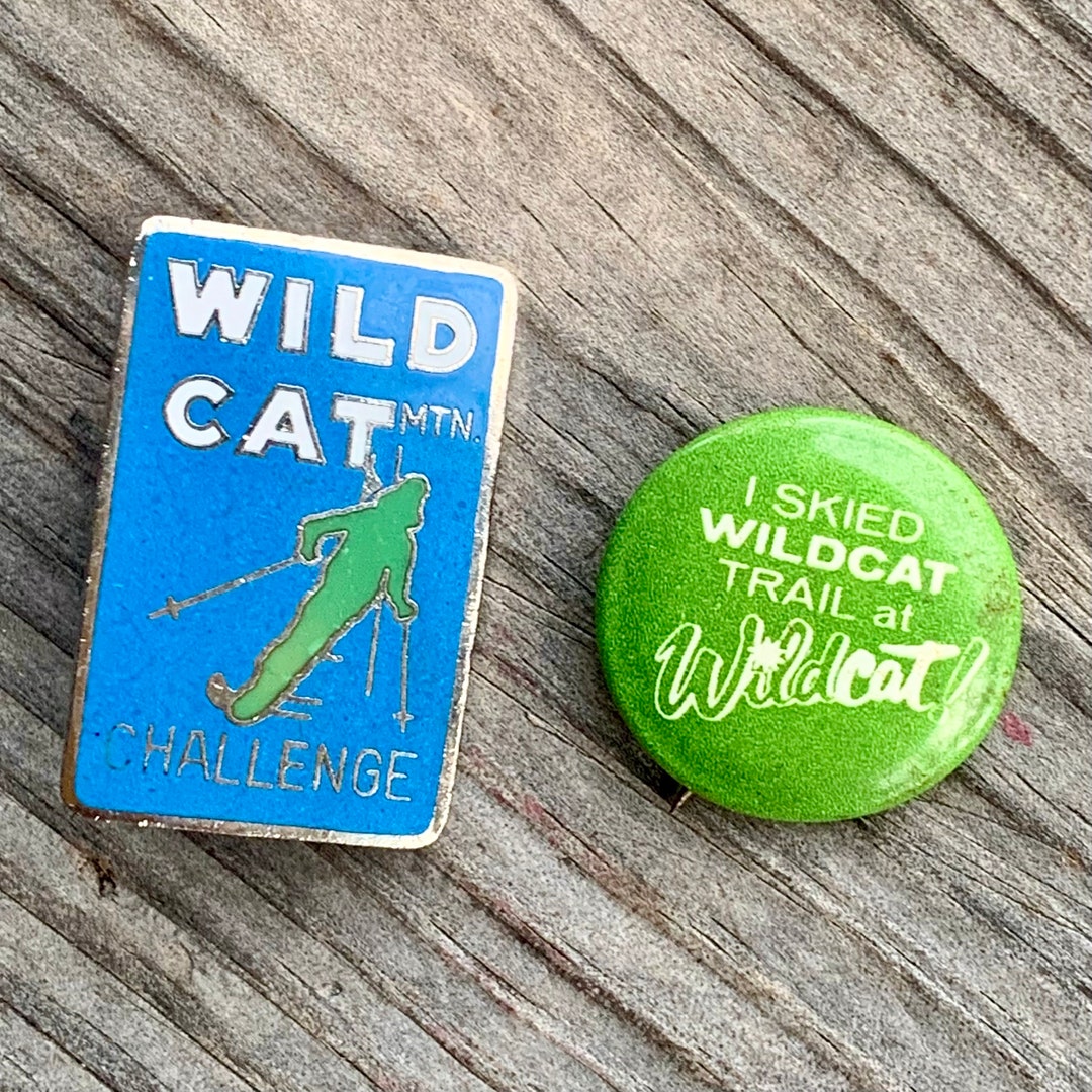 1970's WILDCAT MOUNTAIN Vintage Ski Pin Lot of 2 New Hampshire Antique ...