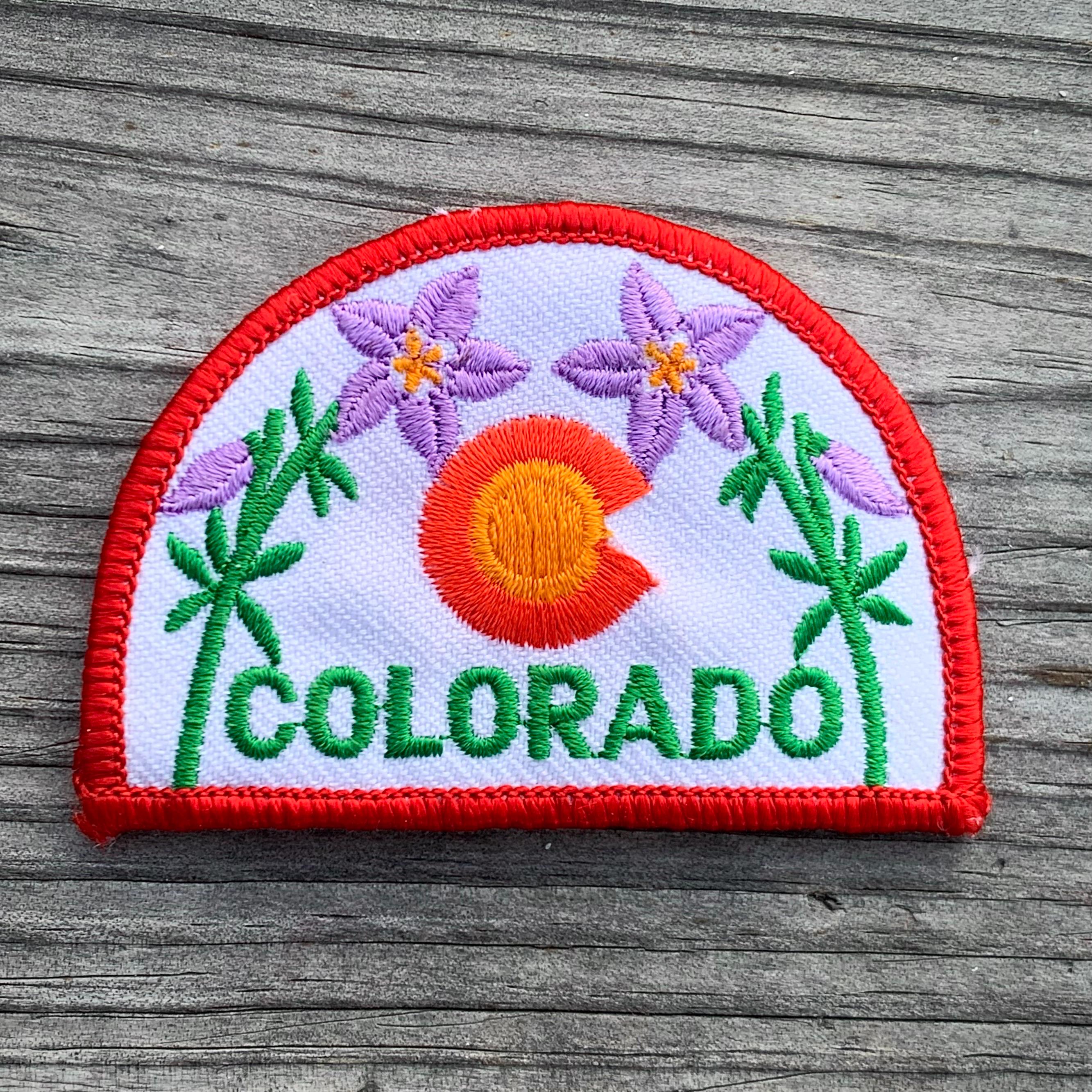 1980's COLORADO Ski Patch, BLUE COLUMBINE, Vintage Travel Skiing Badge ...
