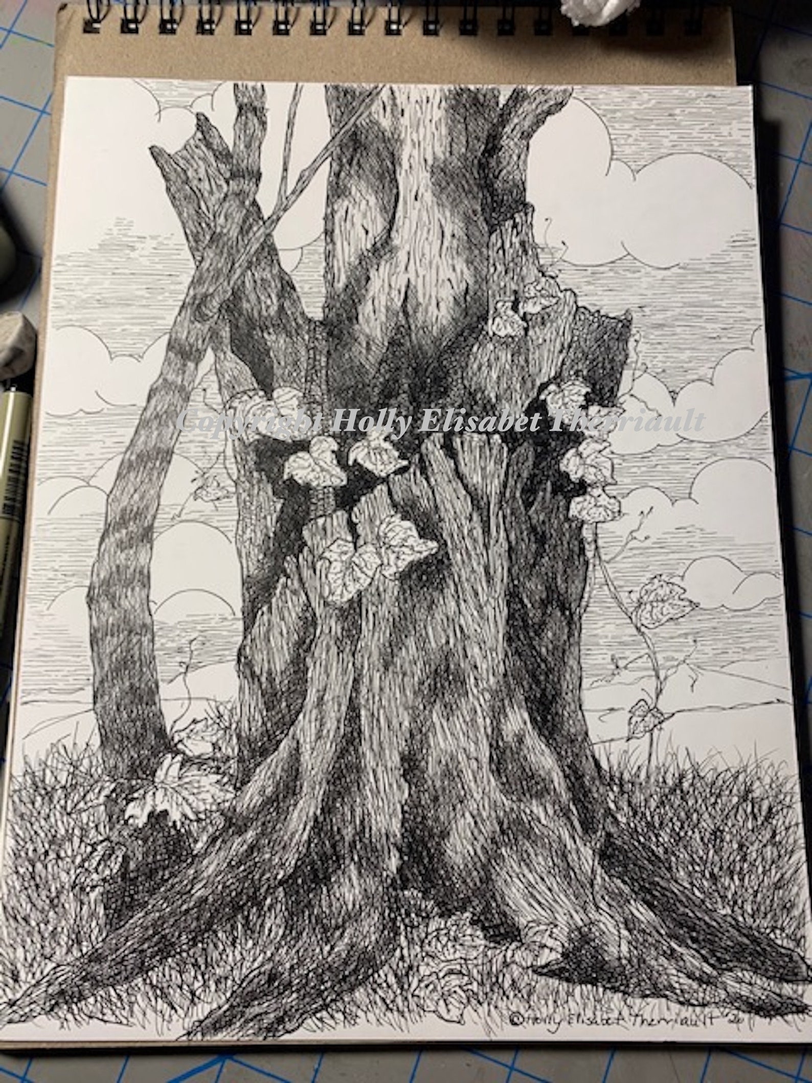 Pen and Ink Nature Original Illustration Pen and Ink Tree - Etsy