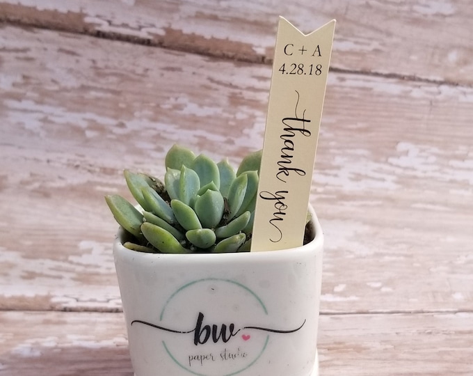 Thank You Succulent Stake, Succulent Stake, Wedding Favor Plant Tag ...