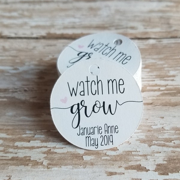 Baby Succulent Sign - Etsy