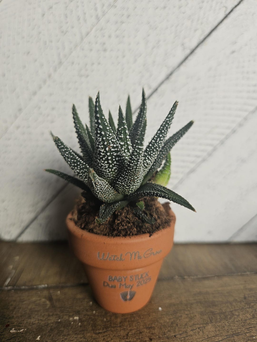 Mini Succulent Planter, Succulent Pot Party Favor, Baby Feet ...