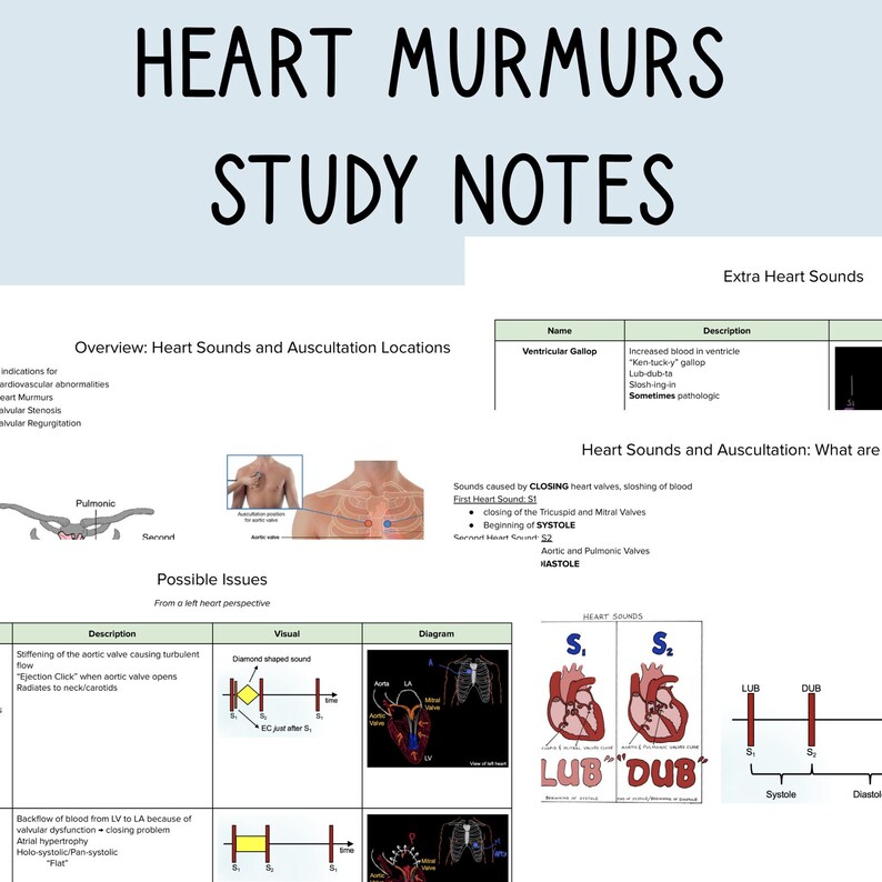 Auscultation & Heart Murmurs: Mini Study Guide - Etsy