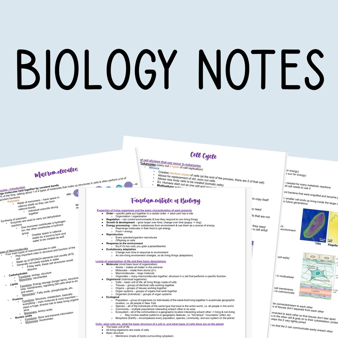 Biology Notes (62 Pages!) - Downloadable File to Help You Succeed in ...