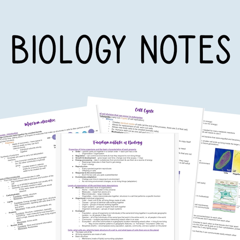 Biology Notes (62 Pages!) - Downloadable File to Help You Succeed in ...